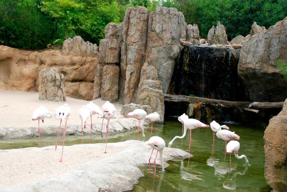 Bioparc Valencia - AVALENCIA